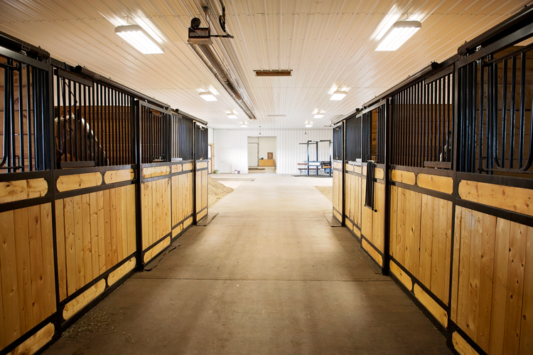 Indoor Stall – Coulee Equine
