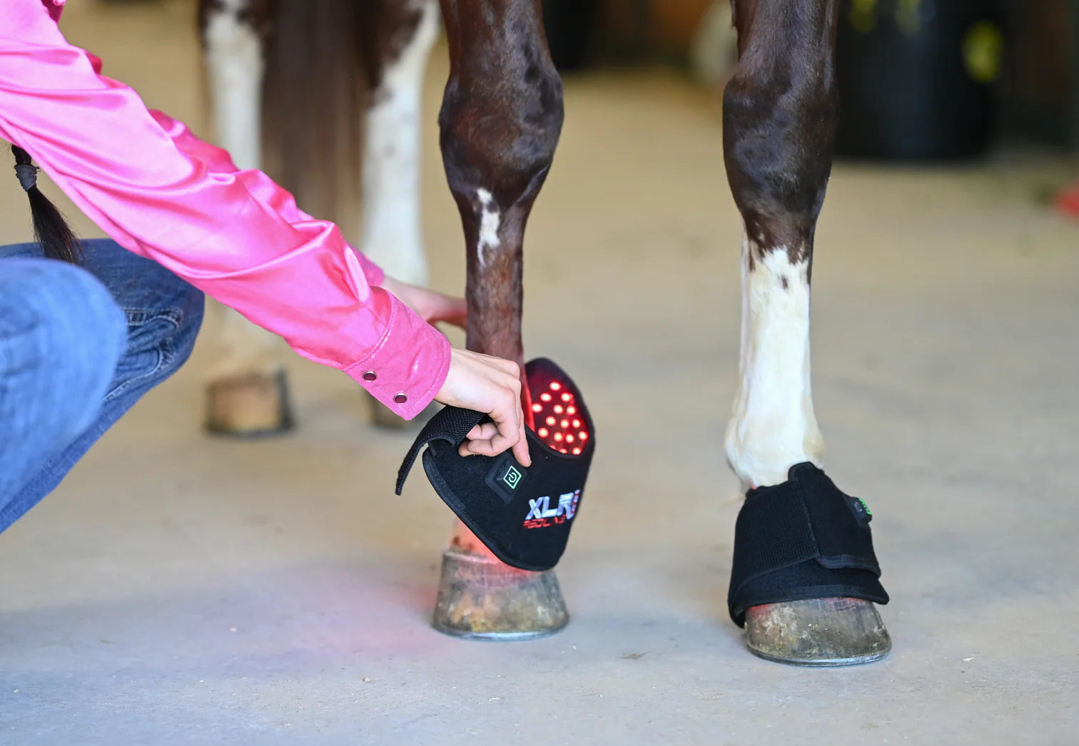 Redline Bell Boot - Pair – Coulee Equine